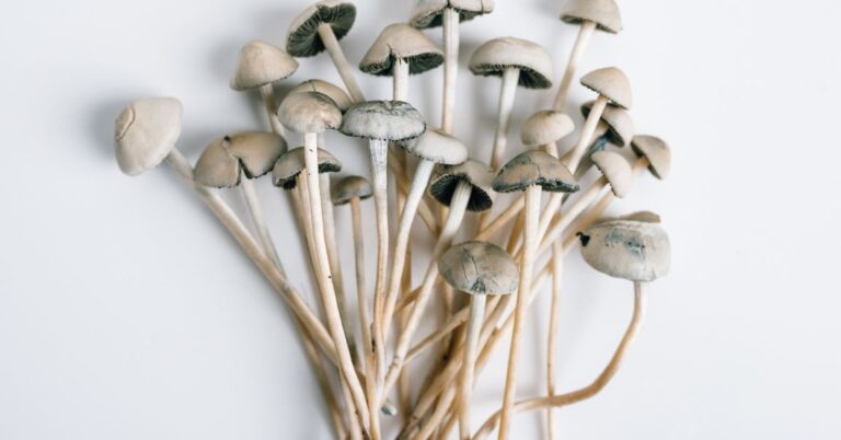 How Long Do Shrooms Last? Understanding Psilocybin Effects ...